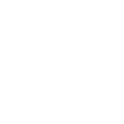 BrightSpring Health Services (BTSG) - Market capitalization
