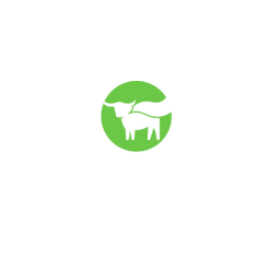 Beyond Meat (BYND) - Shares outstanding