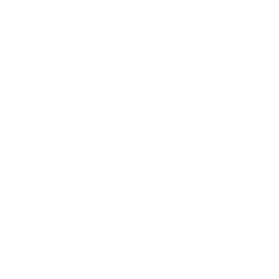 BeyondSpring (BYSI) - Total assets
