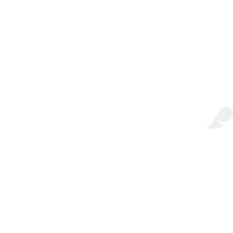 Capgemini (CAP.PA) - P/E ratio