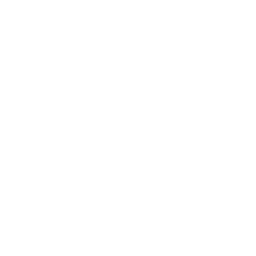 Perspective Therapeutics (CATX) - Stock split history