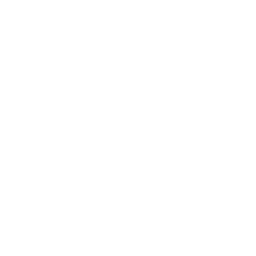 Chain Bridge Bancorp (CBNA) - Total assets