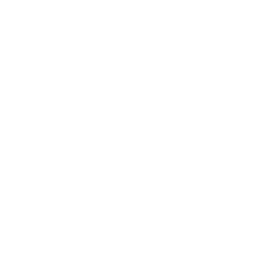 Constellation Energy (CEG) - Stock price history