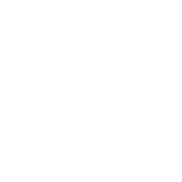 Cellcom Israel (CEL.TA) - Revenue