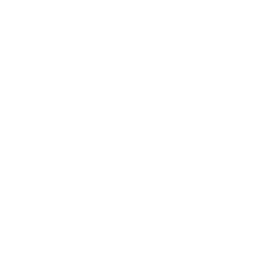 Clean Energy Technologies (CETY) - Stock price history