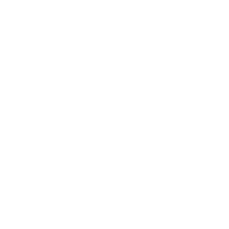 Cicor Technologies (CICN.SW) - Total assets