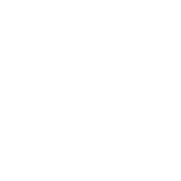 CI&T (CINT) - Revenue
