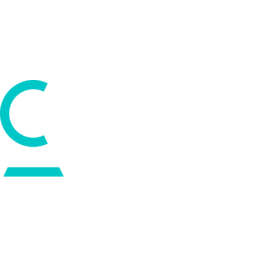 CION Investment (CION) - Shares outstanding