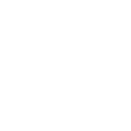 Clean Energy Fuels (CLNE) - Earnings