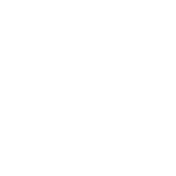 CompoSecure (CMPO) - Total assets