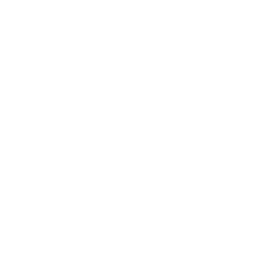 CONMED (CNMD) - Revenue