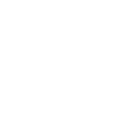 CNO Financial Group - 10-K annual report 2024
