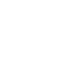 Concentra Group (CON) - Dividenden