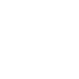 Core Scientific (CORZ) - P/S ratio