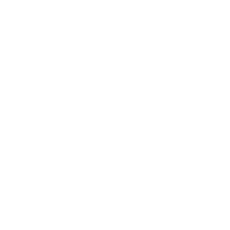Cooper Standard (CPS) - P/S ratio