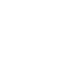 Creo Medical Group (CREO.L) - Revenue