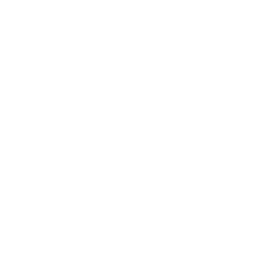 Cyient (CYIENT.NS) - Stock price history