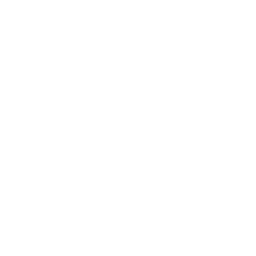 Delta Electronics (Thailand) (DELTA.BK) - P/S ratio