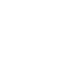 Delticom AG (DEX.DE) - Stock price history