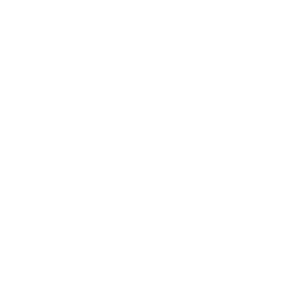 Dubai Financial Market (DFM) (DFM.AE) - Dividends