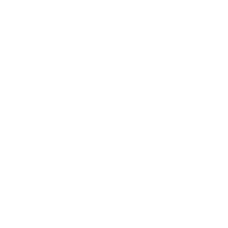 Dialight plc (DIA.L) - Dividends