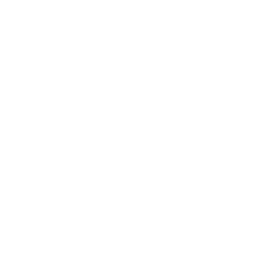 DiDi (DIDIY) - Stock price history