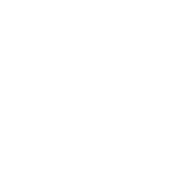 Walt Disney (DIS) - Cash on Hand