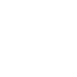 Delta Israel Brands (DLTI.TA) - P/B ratio