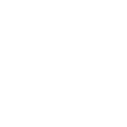 Diploma plc (DPLM.L) - Stock price history