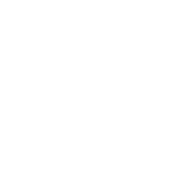 DSV - Annual Reports
