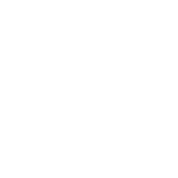 Dassault Systèmes (DSY.PA) - Revenue