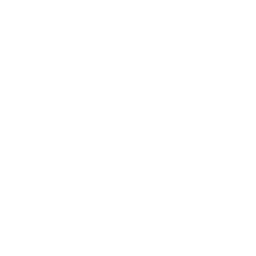 DT Midstream (DTM) - Total assets