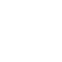 East Side Games (EAGR.TO) - Net Assets