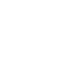 EssilorLuxottica (EL.PA) - Stock price history
