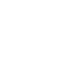e.l.f. Beauty (ELF) - Revenue