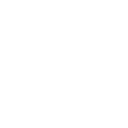 Embla Medical (EMBLA.CO) - Earnings