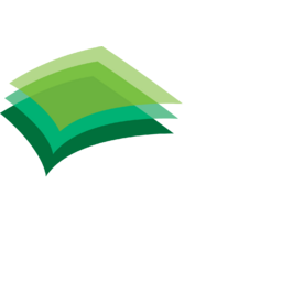 Engro Corporation (ENGRO.PK) - Net Assets