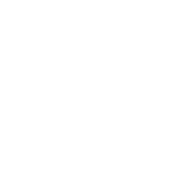 Enovix (ENVX) - Revenue
