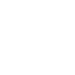 Essity (ESSITY-B.ST) - Dividendes