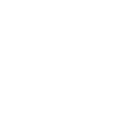 Vertical Aerospace (EVTL) - P/E ratio