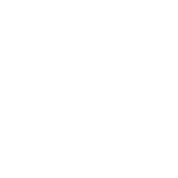 Express (EXPR) - Revenue