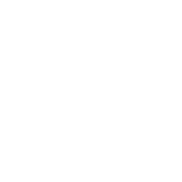 Faes Farma (FAE.MC) - P/E ratio