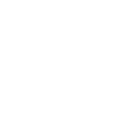 Fagron (FAGR.BR) - Market capitalization