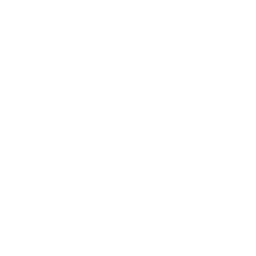 Faro Technologies (FARO) - Revenue