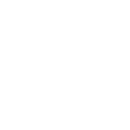 Femasys (FEMY) - Market capitalization