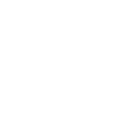 Festi hf. (FESTI.IC) - Net Assets