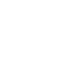 Faraday Future (FFAI) - Fails to deliver (FTD)