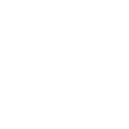 Five Below (FIVE) - Stock price history