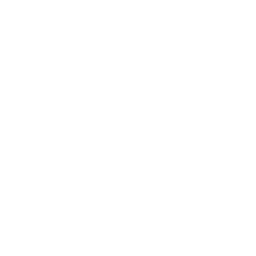 Flex (FLEX) - Stock price history