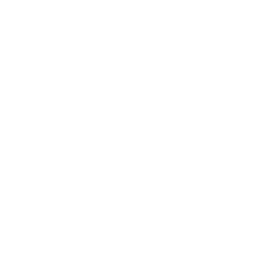 Full House Resorts (FLL) - Stock split history
